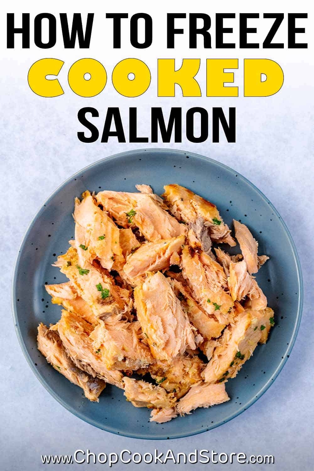 Can You Freeze Cooked Salmon? - Chop Cook and Store